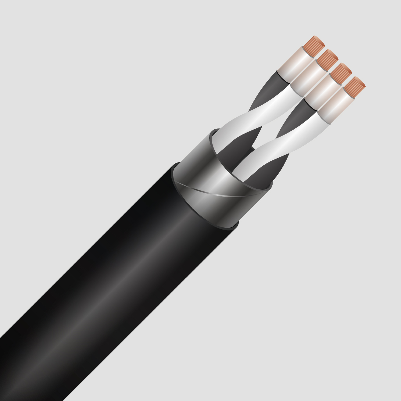 BS 5308 Part 1 Type 1 IEC 60331 archivos - BTC Iberica